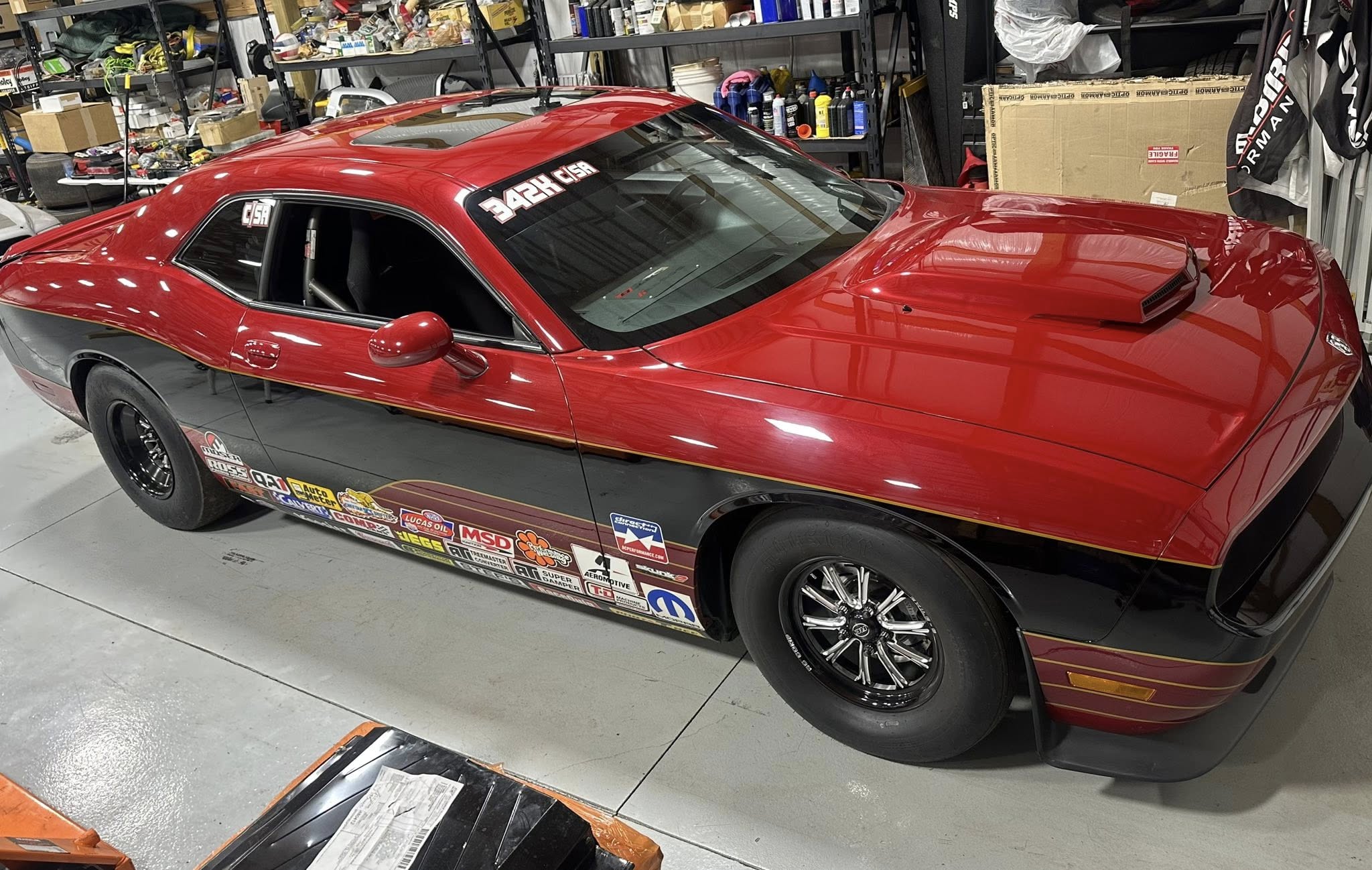 Another Gorgeous Challenger!