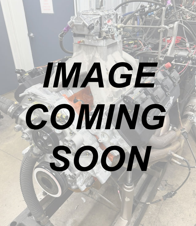 Blackbird Performance Race Spec 900+ HP Engine